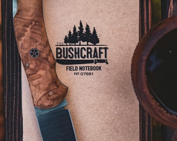 Bushcraft Basics: A Simple Beginner’s Guide to Outdoor Survival Skills ...